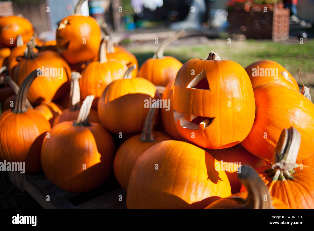 Stack pumpkin hi-res stock photography and images - Alamy