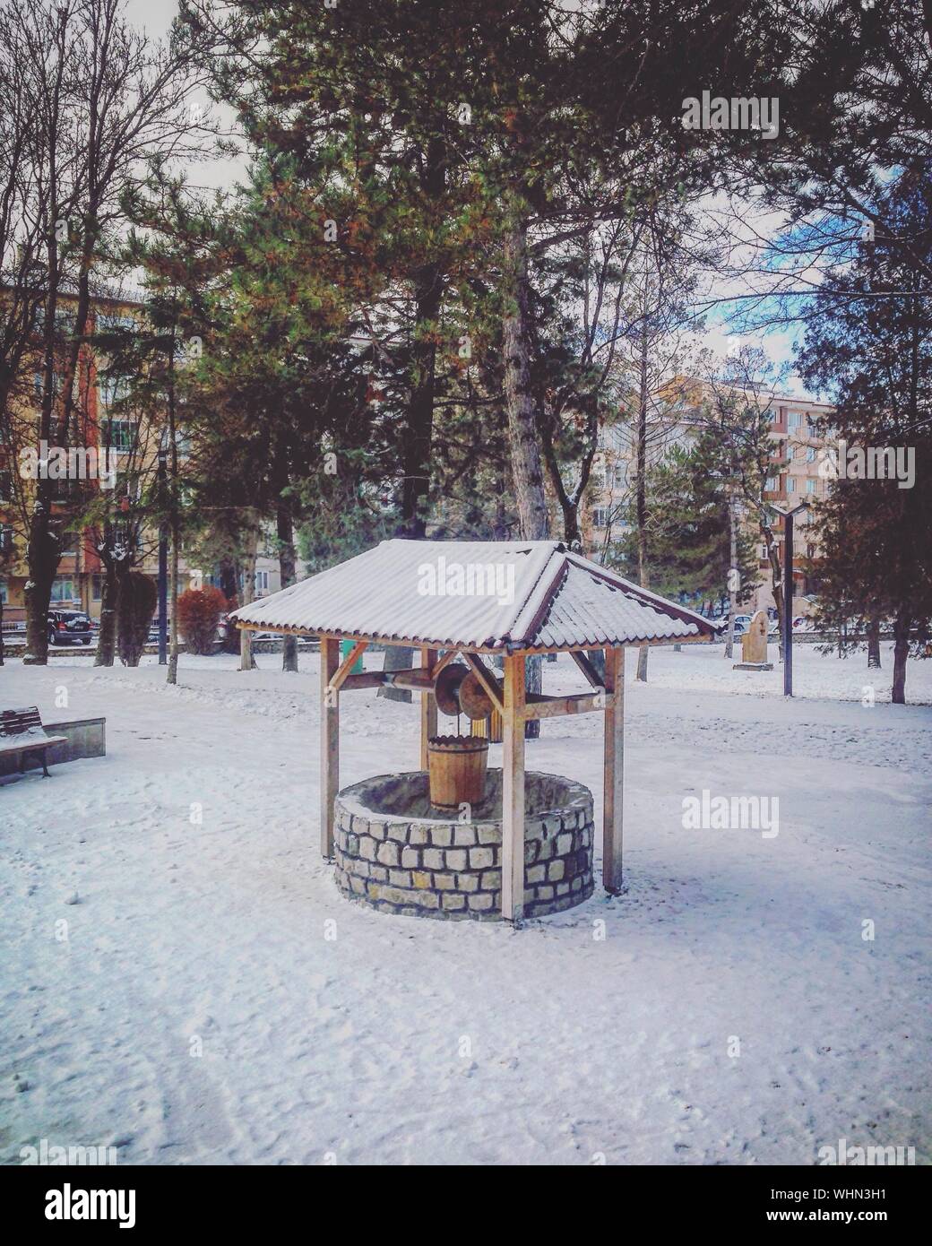 Tree well snow hi-res stock photography and images - Alamy