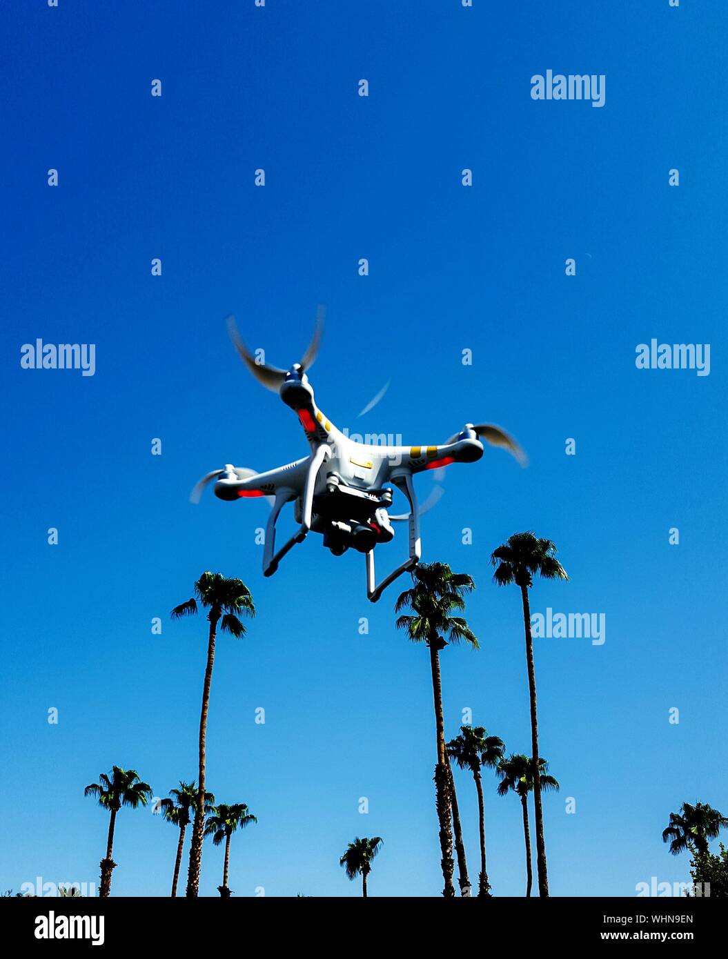 Palm trees drone hi-res stock photography and images - Alamy