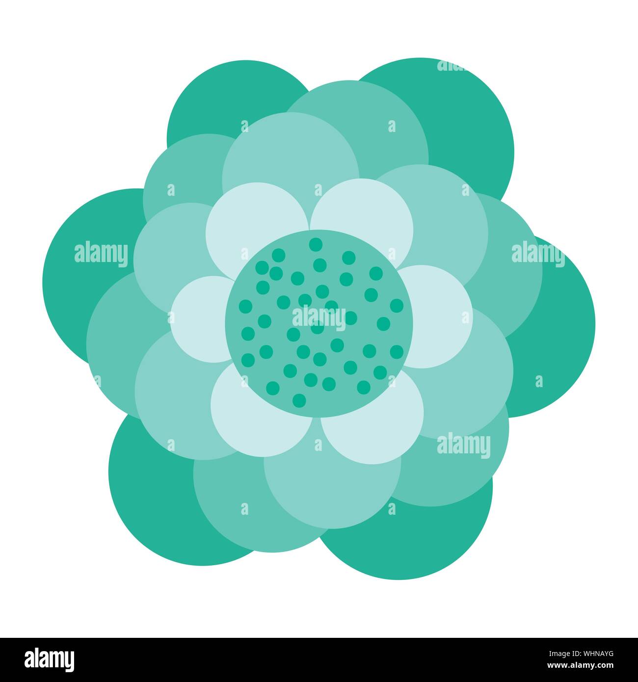 Flower design, floral nature plant ornament garden decoration and ...