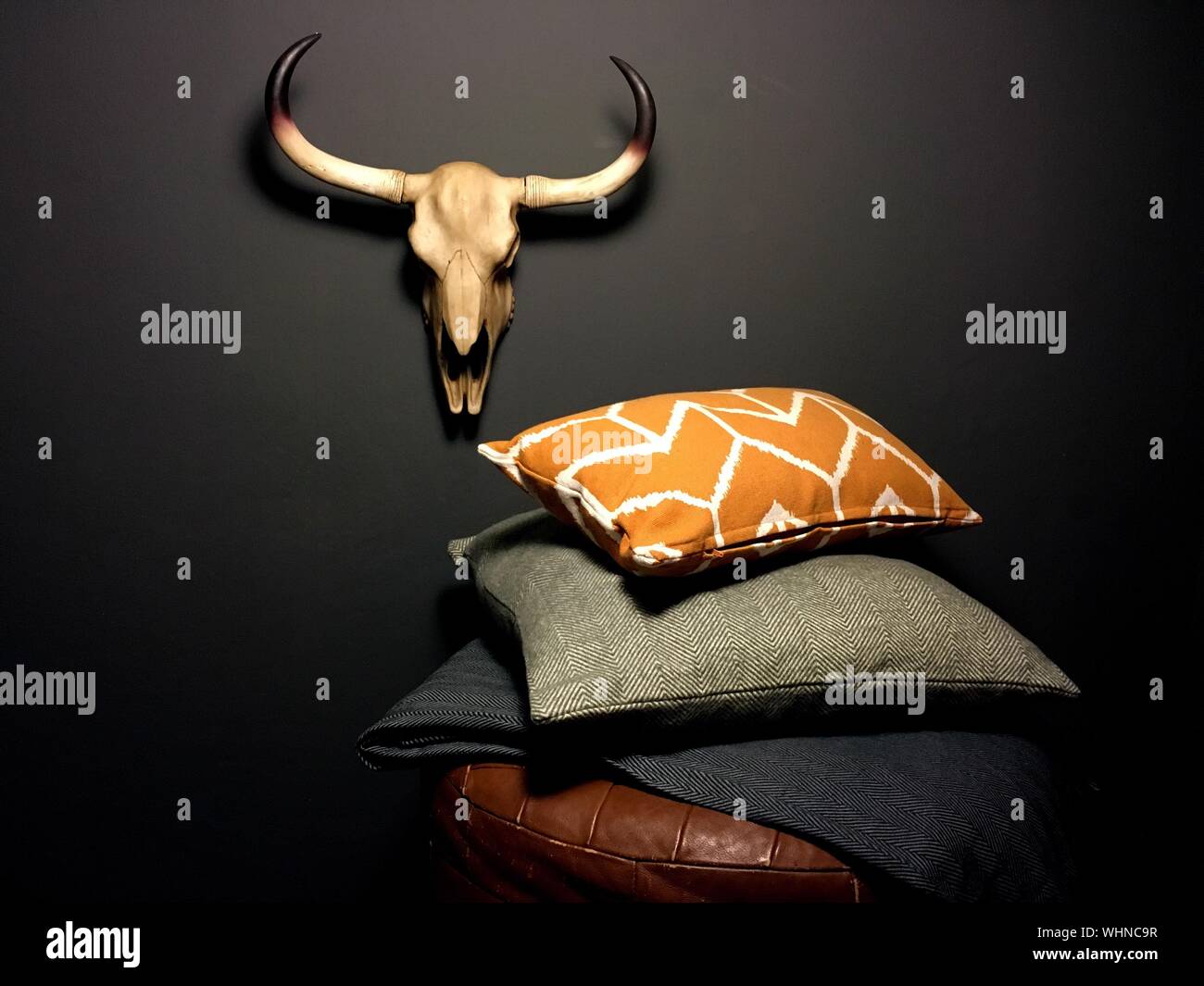 Animal head trophy hi-res stock photography and images - Alamy
