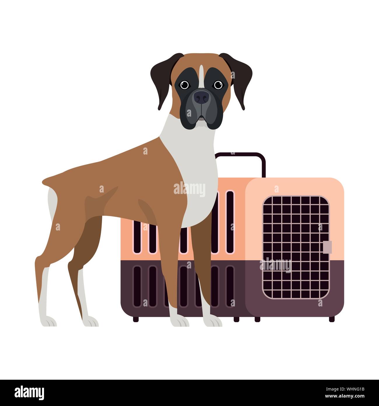 dog and pet transport box on white background Stock Vector Image & Art ...