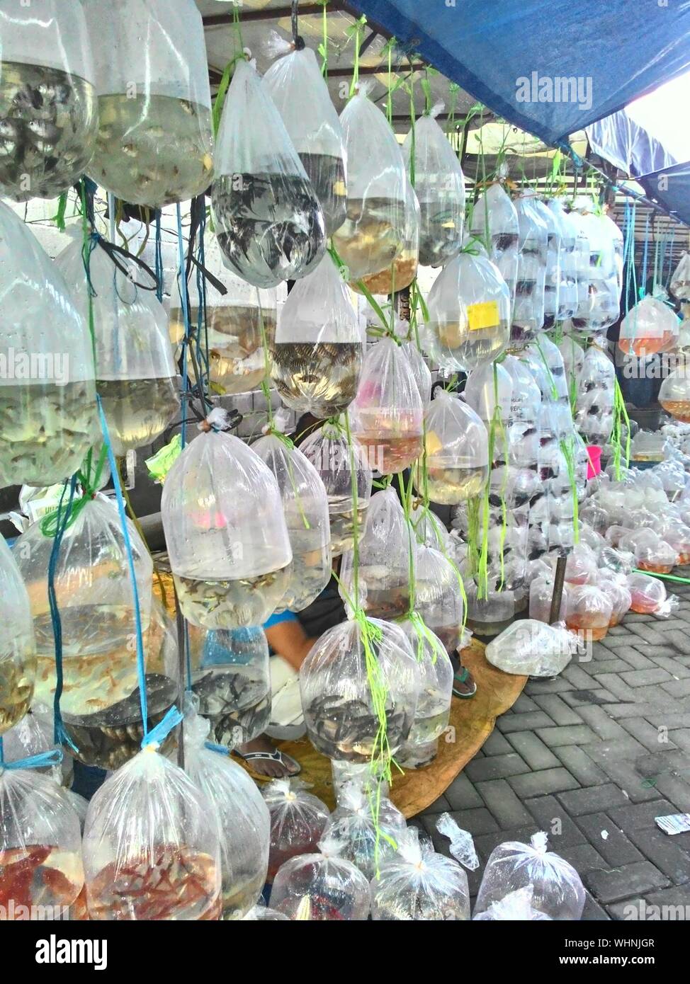 Row of plastic bags hi-res stock photography and images - Alamy