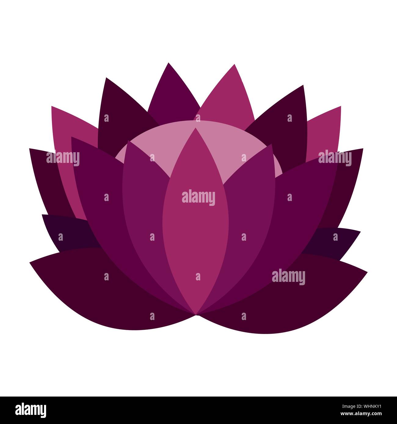 Lotus flower design, floral nature plant ornament garden decoration and ...