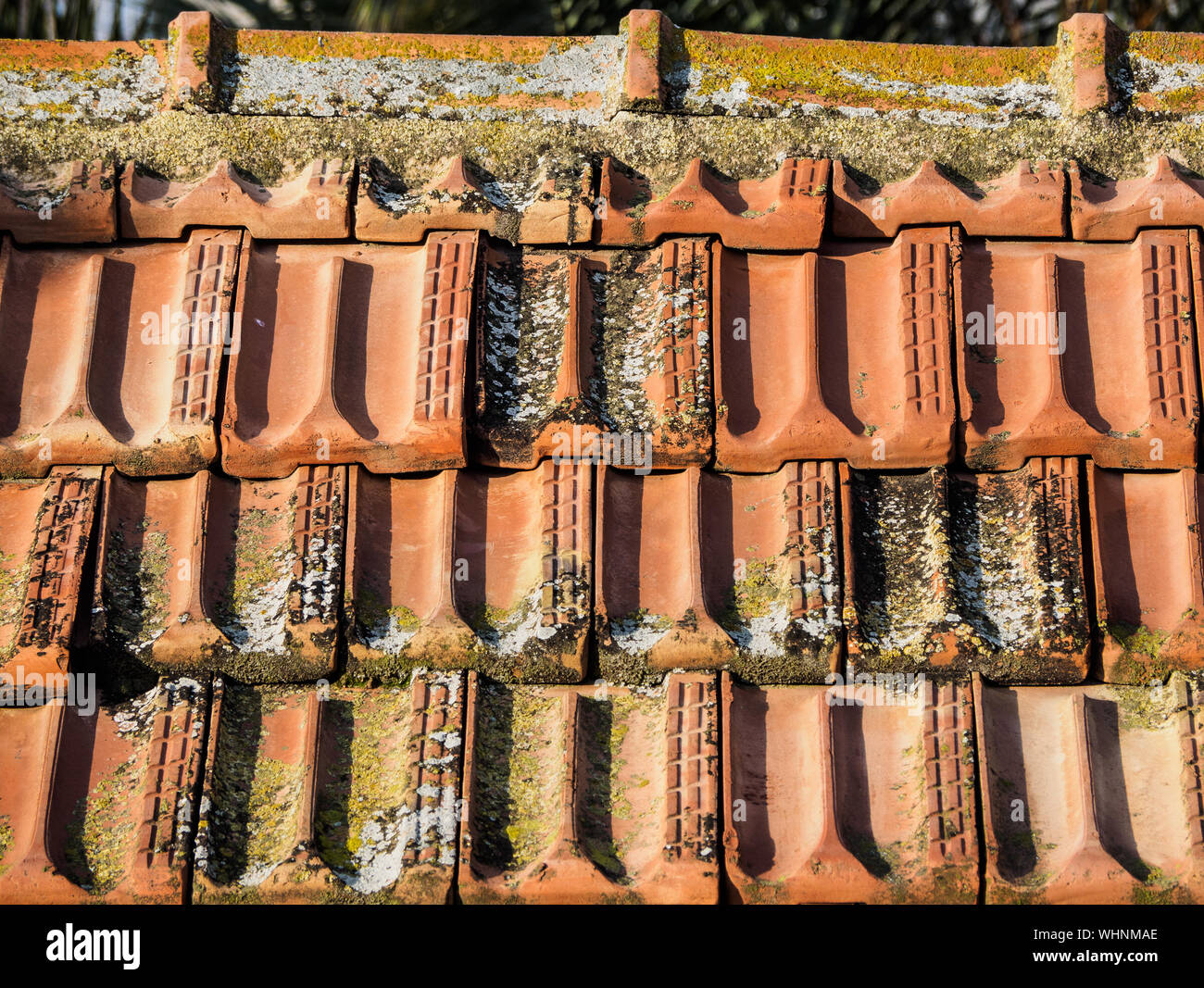 Side view structure hi-res stock photography and images - Alamy