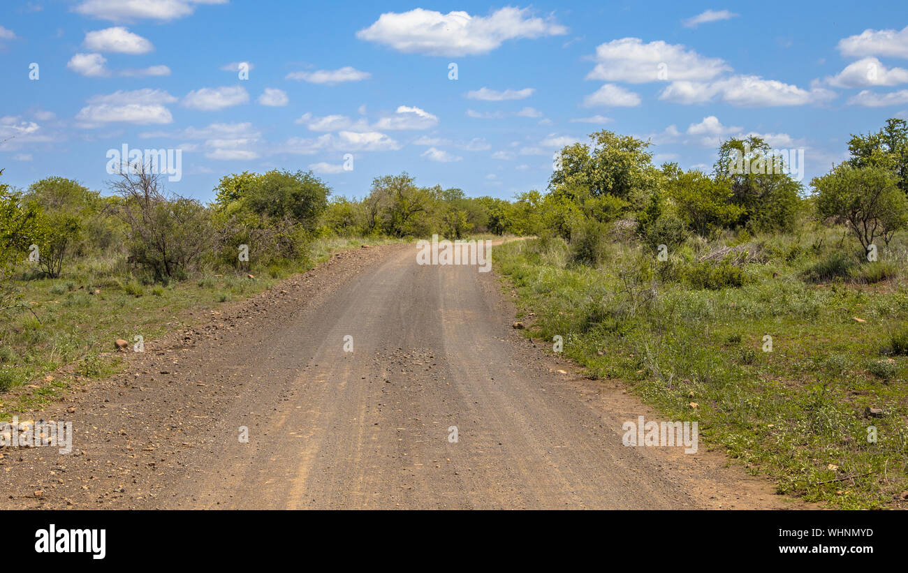Bushveld clouds hi-res stock photography and images - Alamy