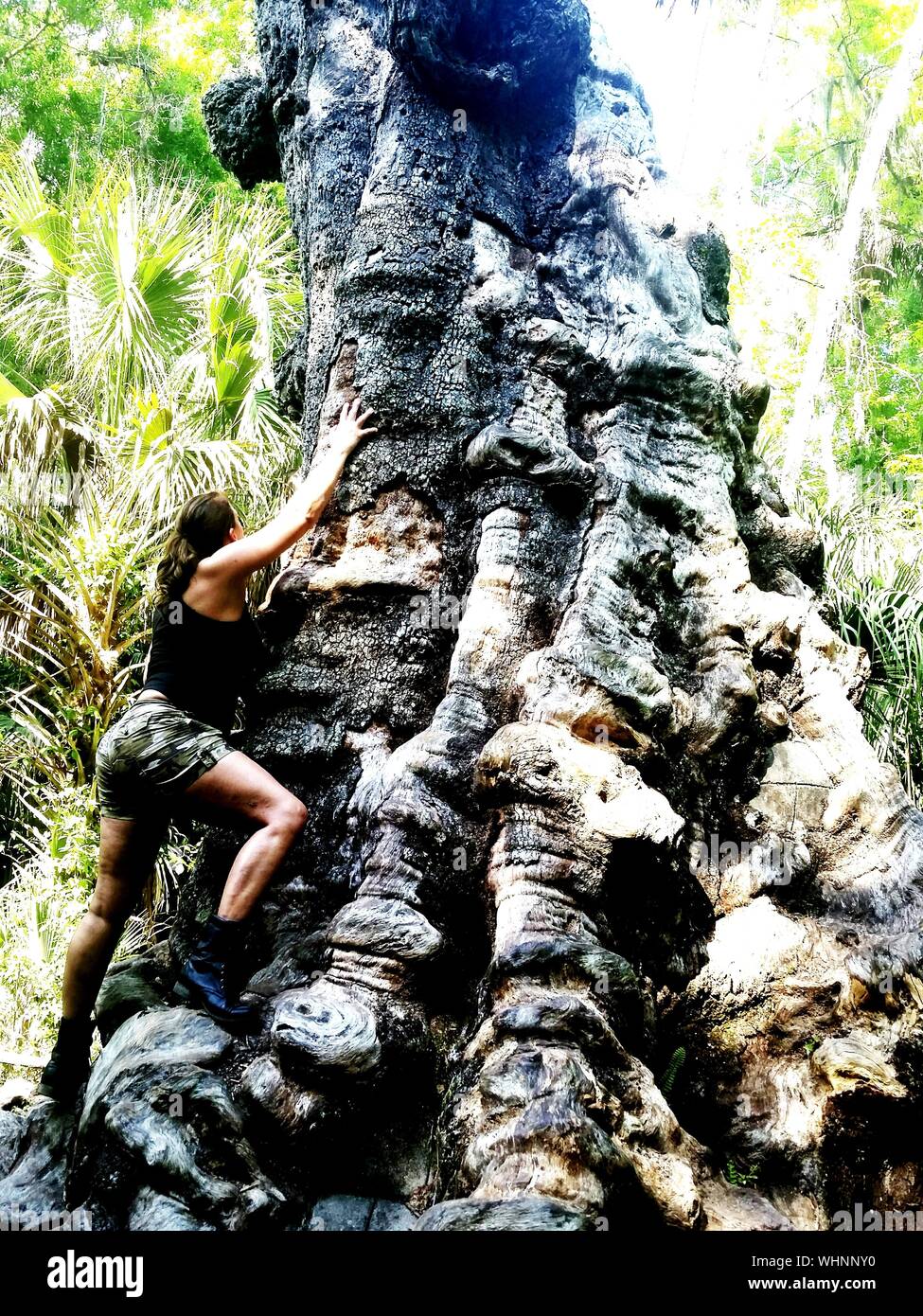 Tree trunk side angle hi-res stock photography and images - Alamy