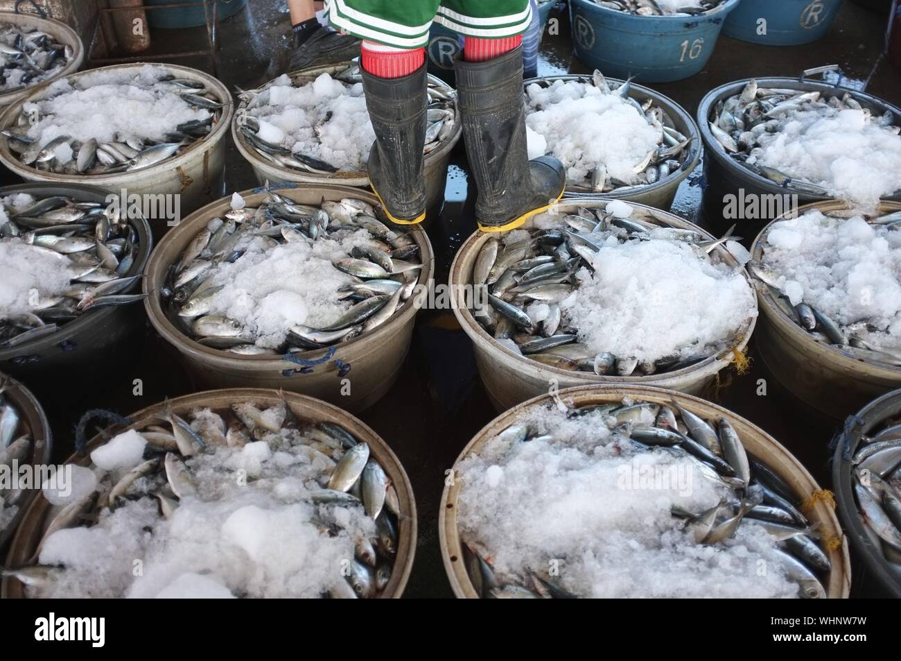 Man wearing fish hi-res stock photography and images - Alamy