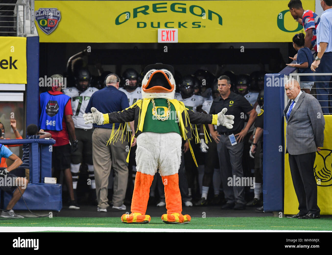 Oregon ducks mascot hi-res stock photography and images - Alamy
