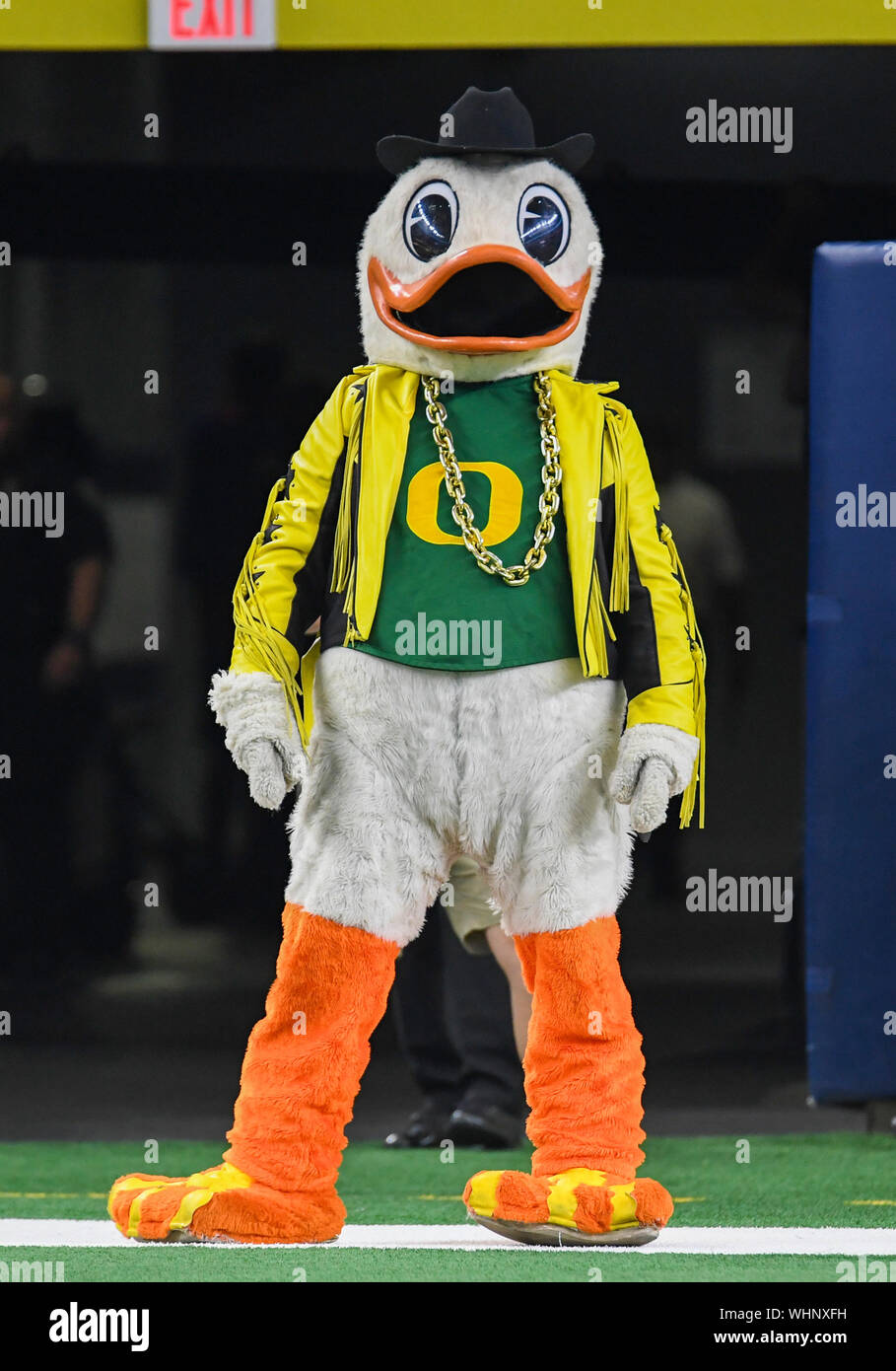 August 31, 2019: The Oregon mascot before the NCAA Advocare Classic ...