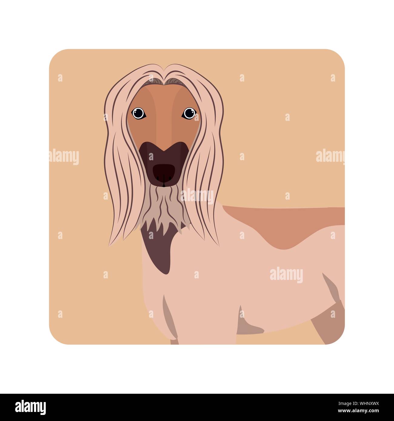 Galgo breed Stock Vector Images - Alamy