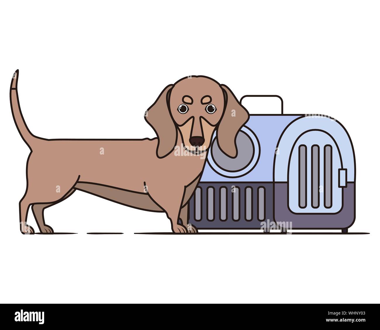 dog and pet transport box on white background Stock Vector Image & Art ...