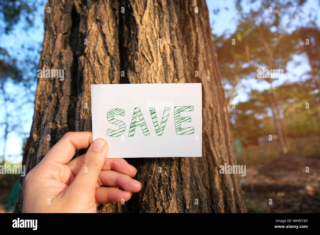Save trees hi-res stock photography and images - Alamy
