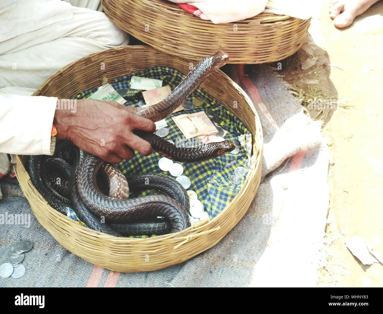 Holding snakes hi-res stock photography and images - Alamy