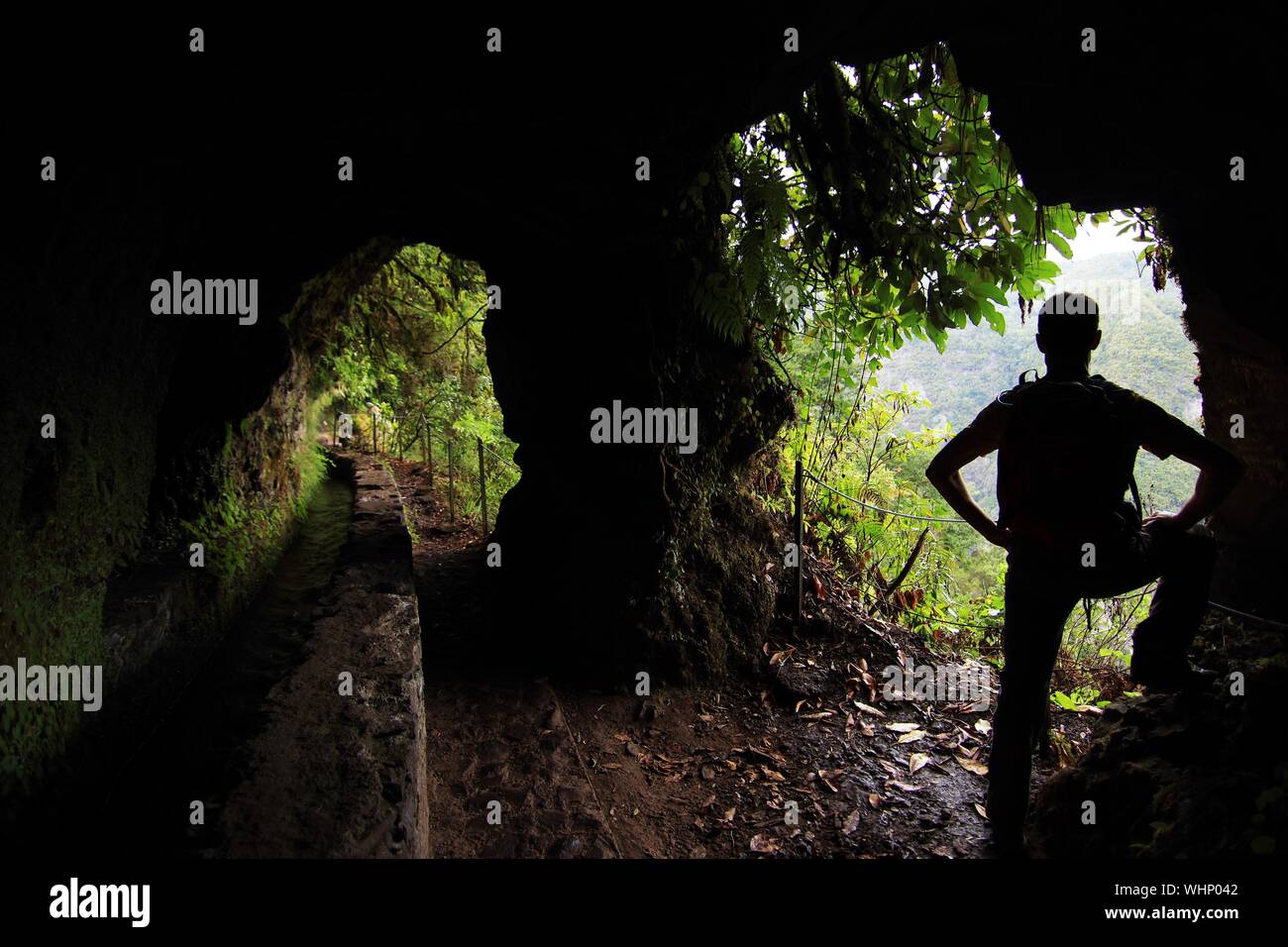 Tree cave person hi-res stock photography and images - Alamy