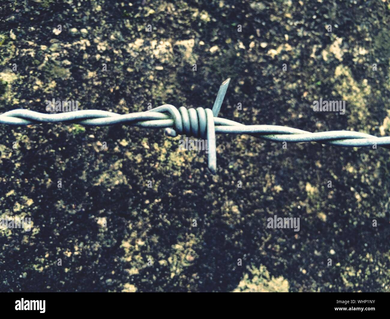 Barbed wire wall hi-res stock photography and images - Alamy