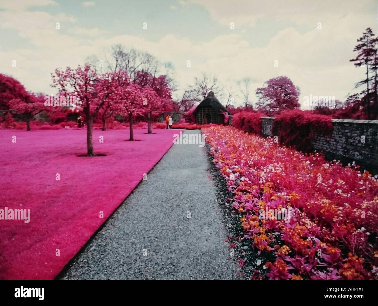 Pink sky landscape hi-res stock photography and images - Alamy