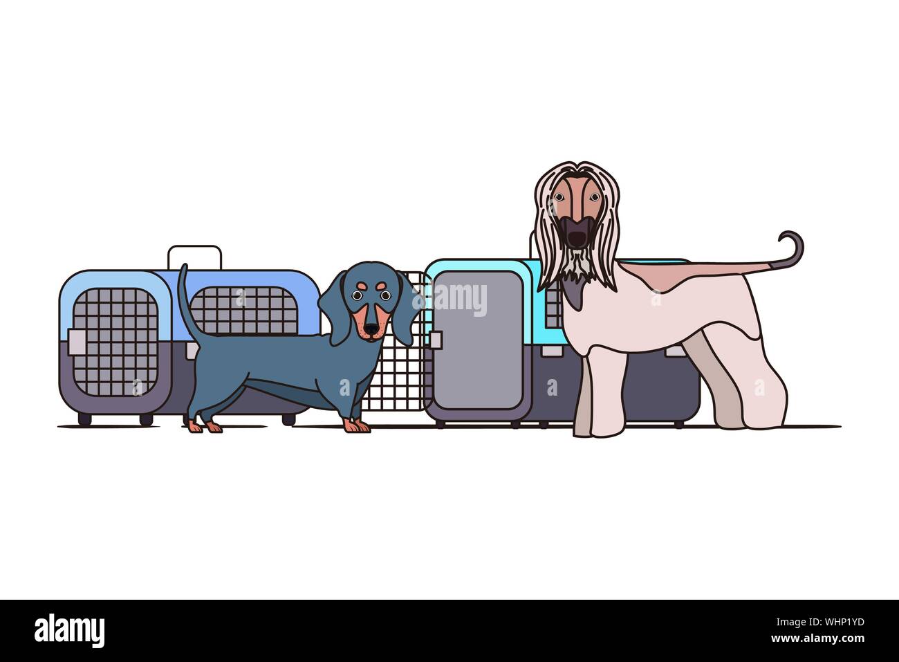 dogs and pet transport boxes on white background Stock Vector Image ...