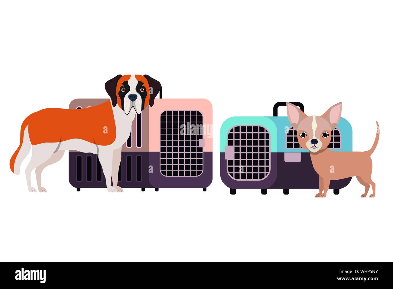 dogs and pet transport boxes on white background Stock Vector Image ...