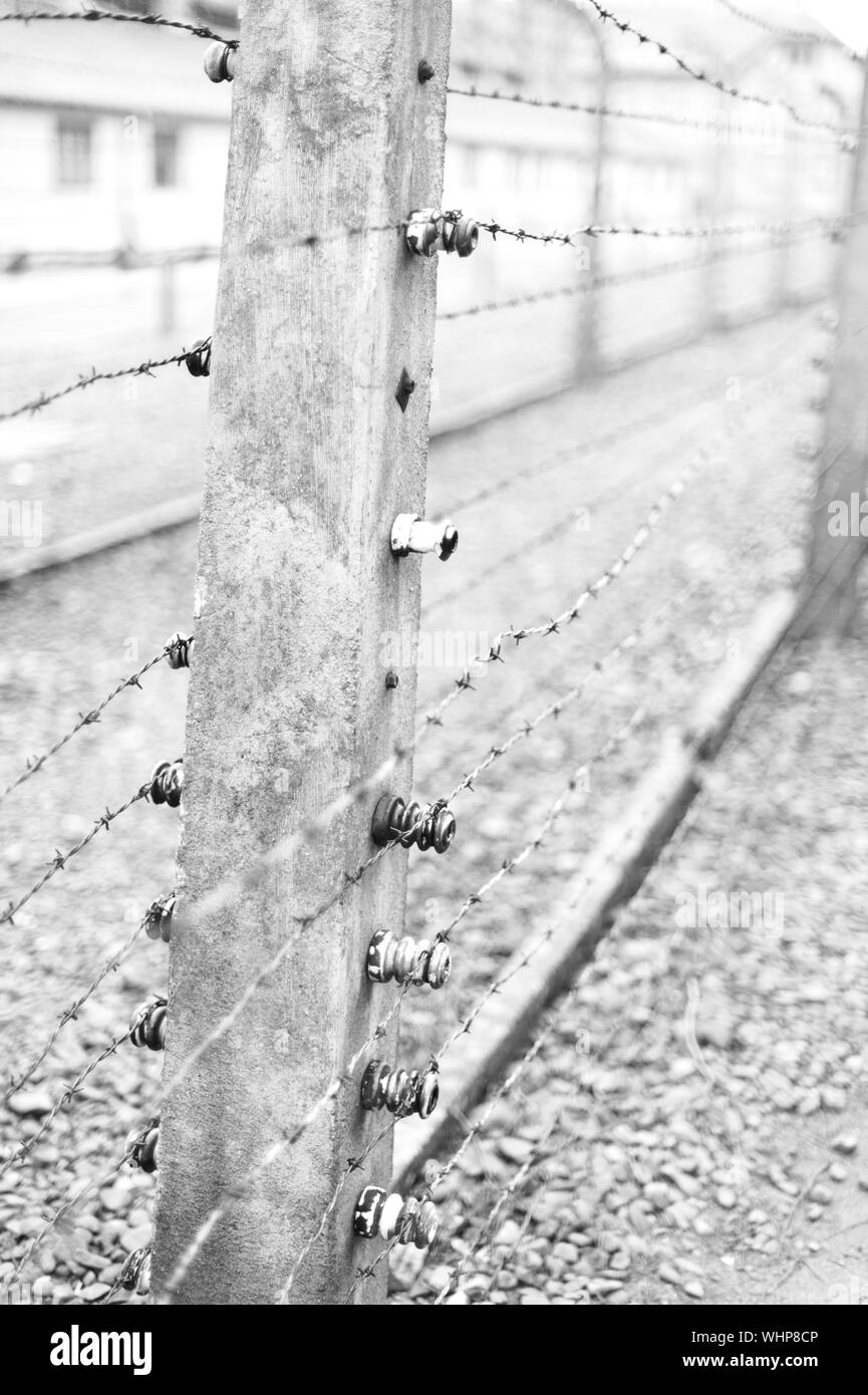 Barbed wire fence in Auschwitz concentration camp in Oświęcim, Poland ...