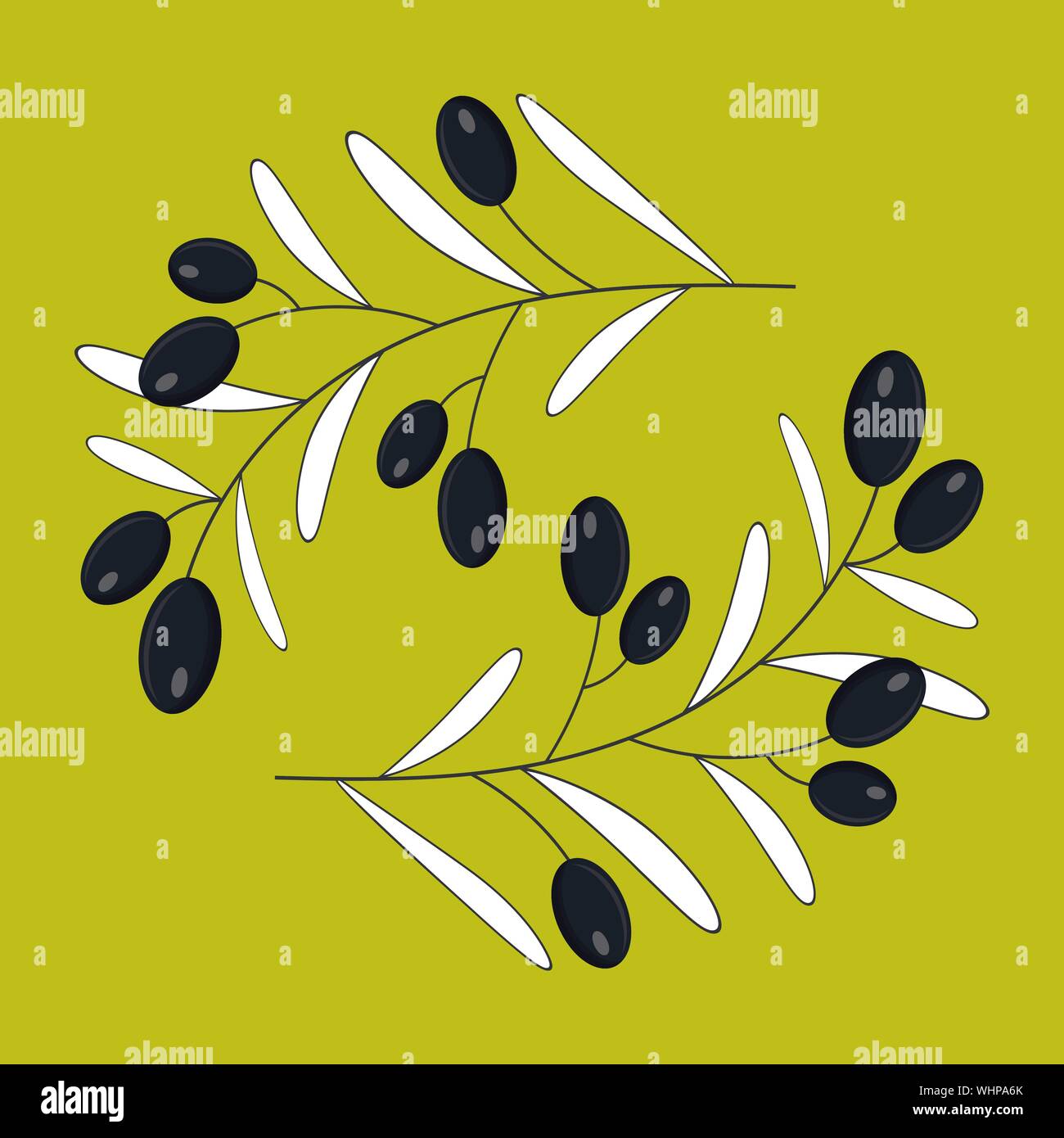 Olive tree branch, isolated on green background. Vector flat ...