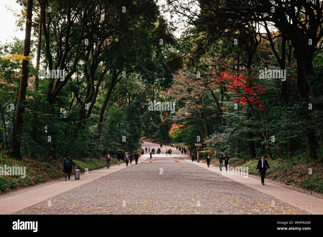 DEC 5, 2019 Tokyo, Japan - Meiji Jingu Shrine forest park with tourists ...