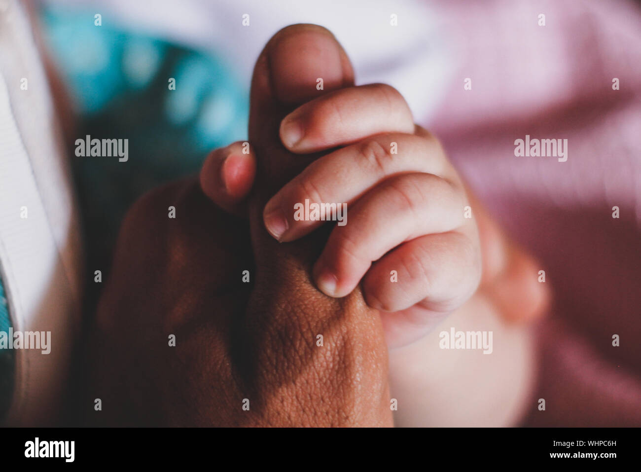 Gripping High Resolution Stock Photography and Images - Alamy