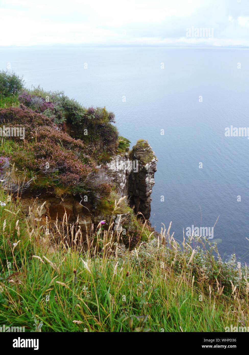 Plants Growing On Cliff High Resolution Stock Photography and Images ...