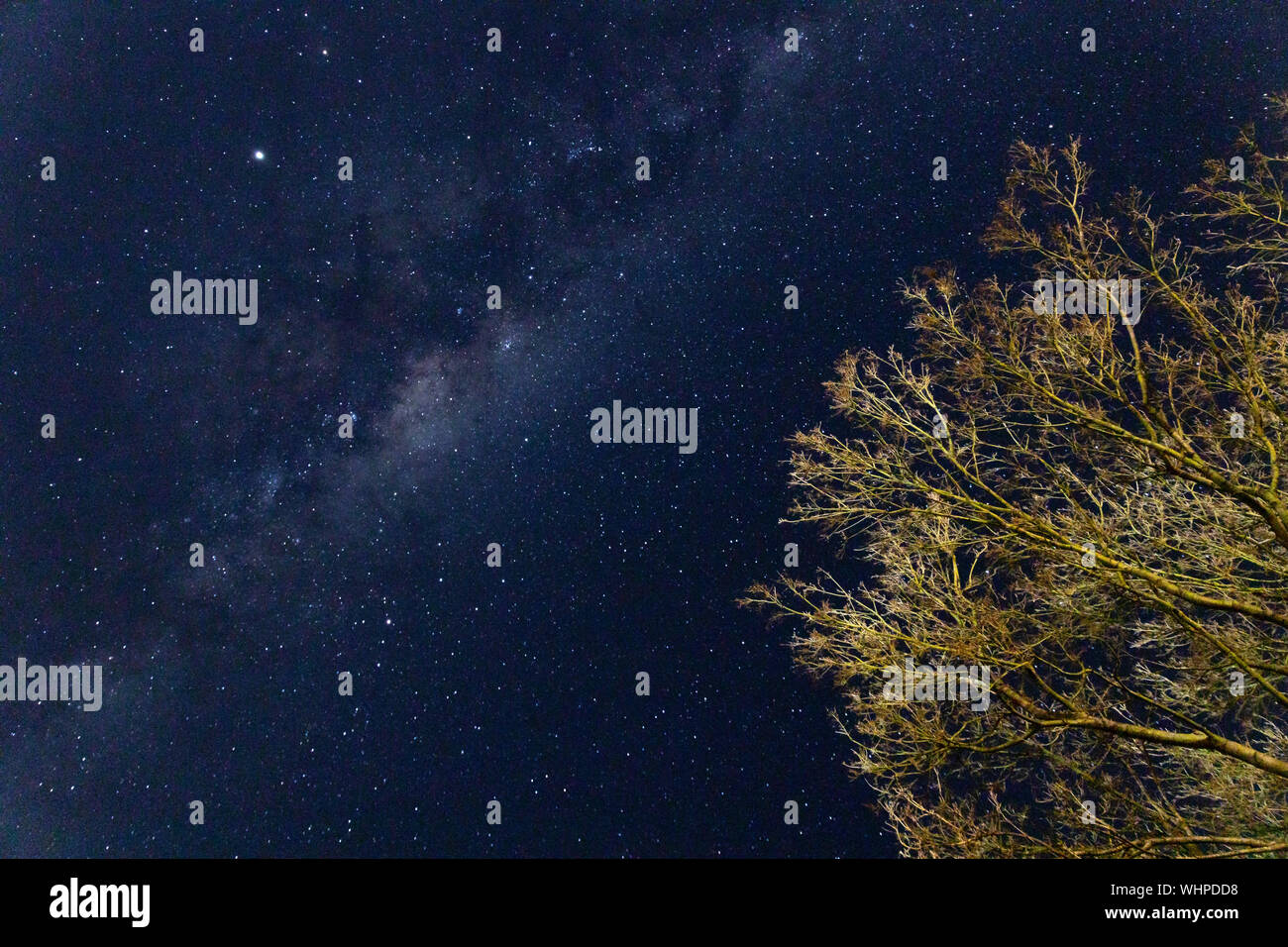 the milky way and constellations visible from the southern hemisphere ...