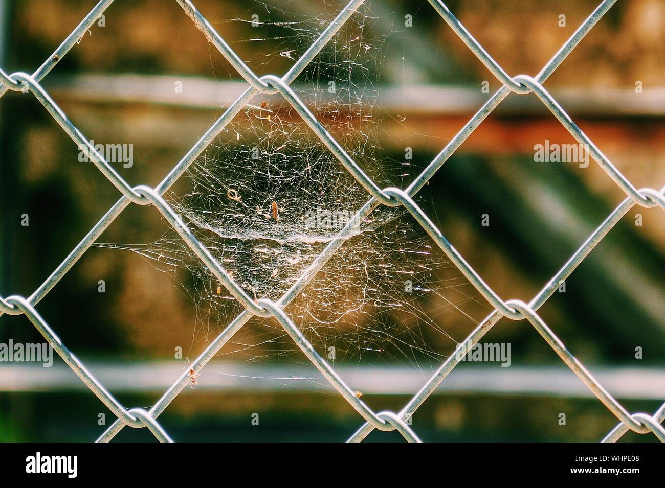 Spider Web On The Fence High Resolution Stock Photography and Images ...
