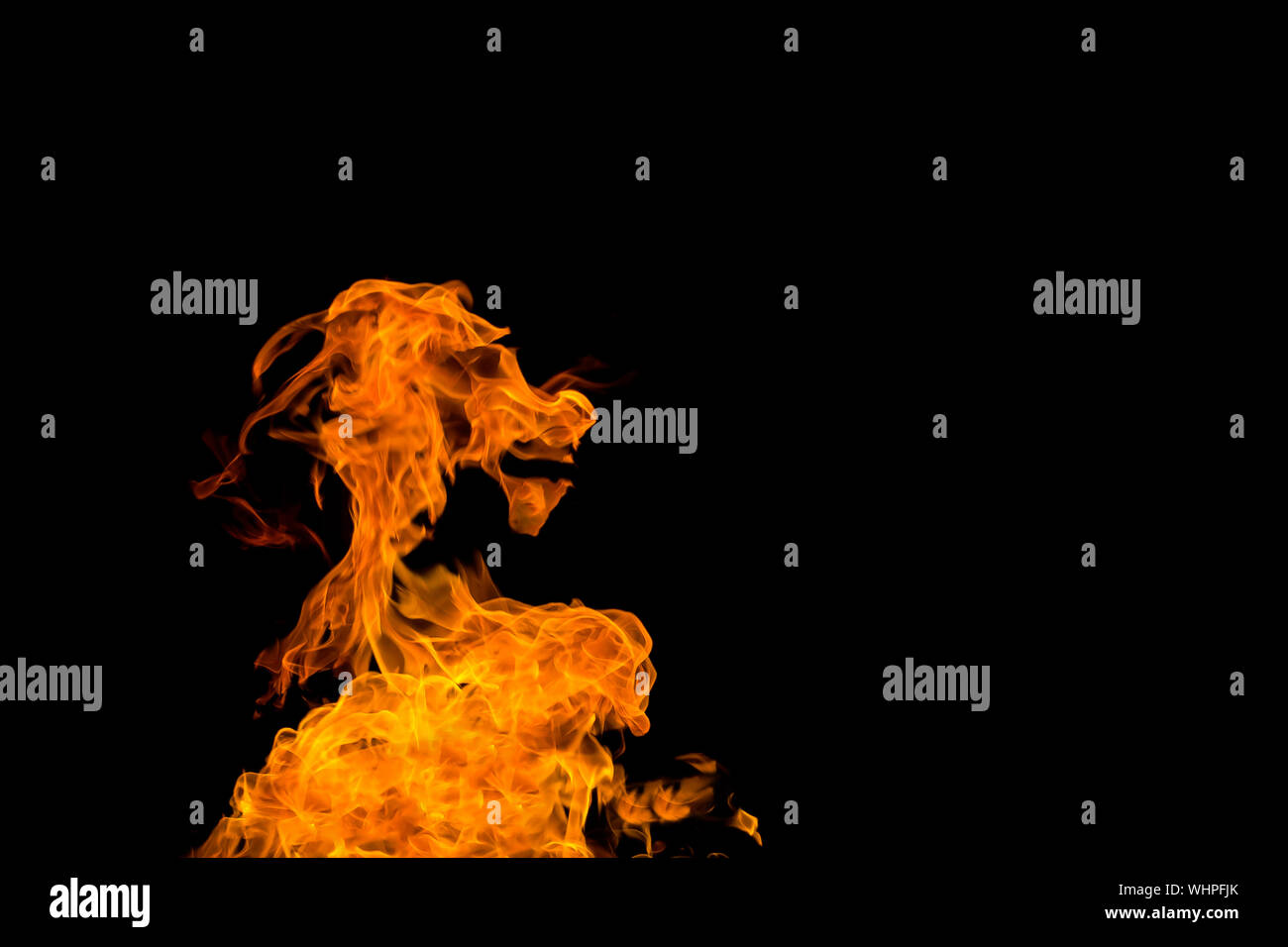 Fire in the shape of a goat's muzzle. Fire flames on black background ...