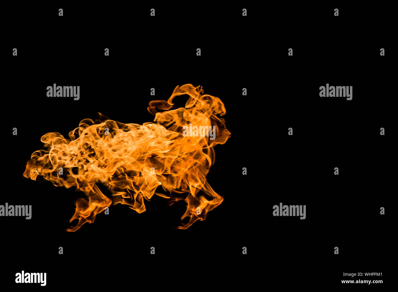Fire a flame in the shape of a lamb or a sheep. Fire flames on black ...