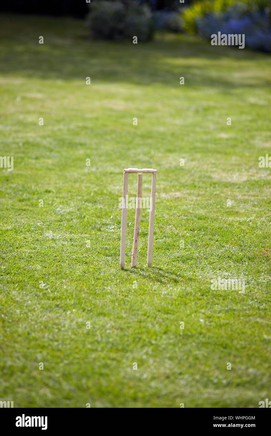 Cricket field grass hi-res stock photography and images - Alamy