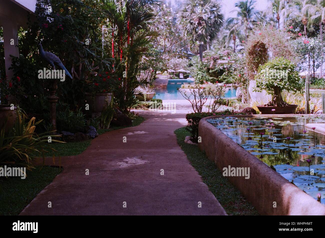 Long pathway hi-res stock photography and images - Alamy