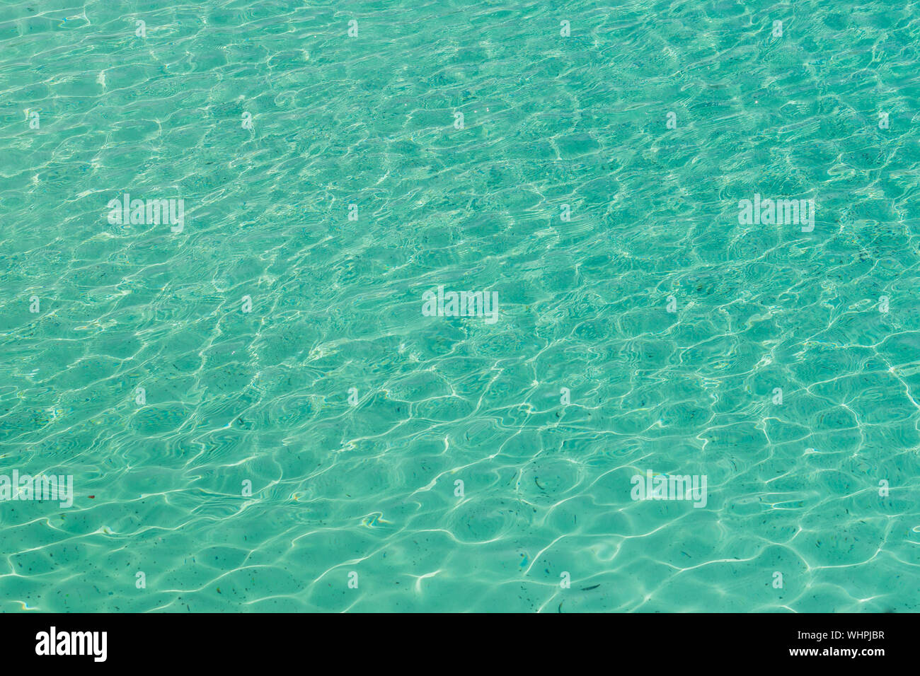 Blue swimming pool water surface texture background Stock Photo - Alamy