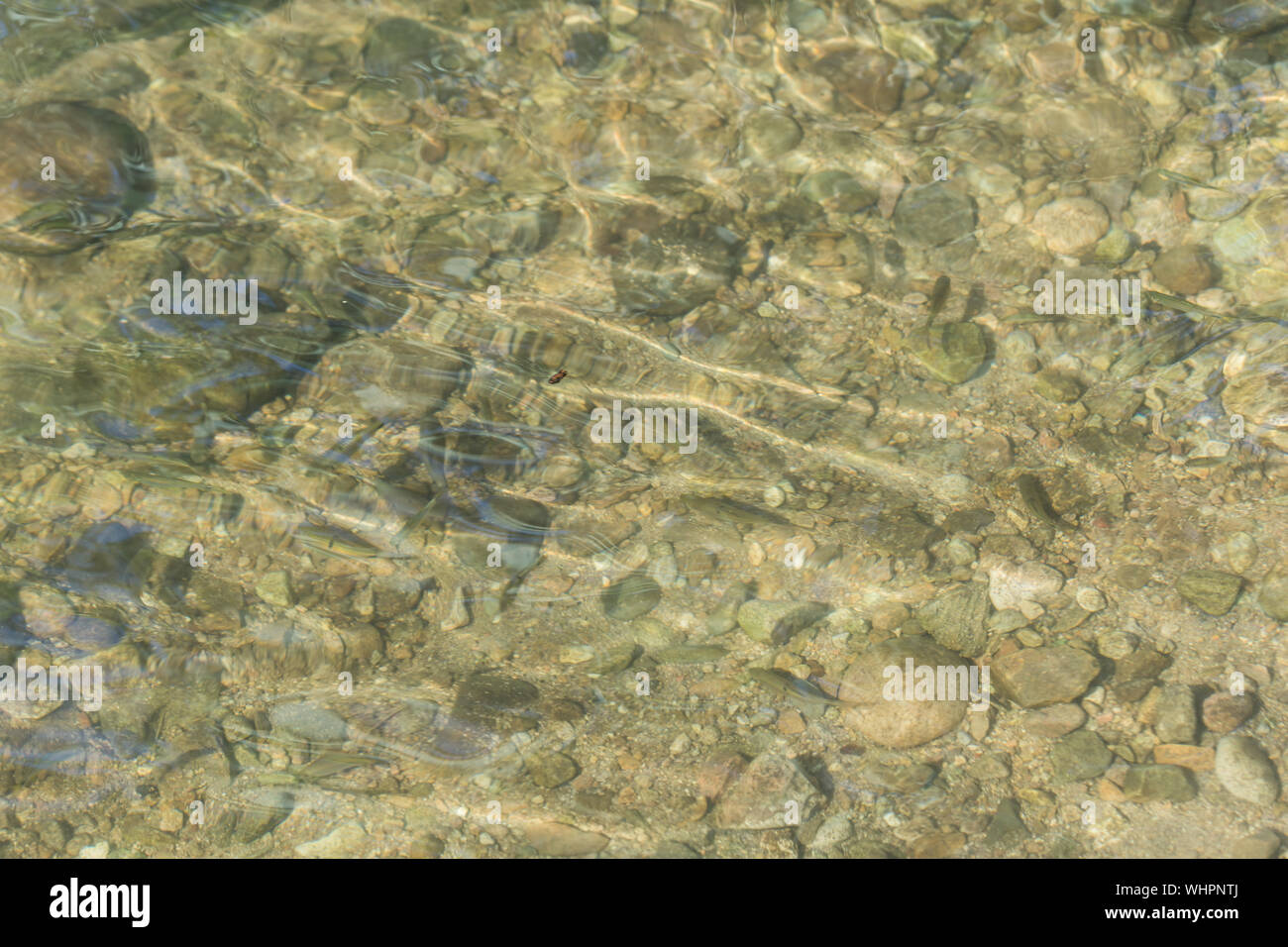 Shallow rock hi-res stock photography and images - Alamy