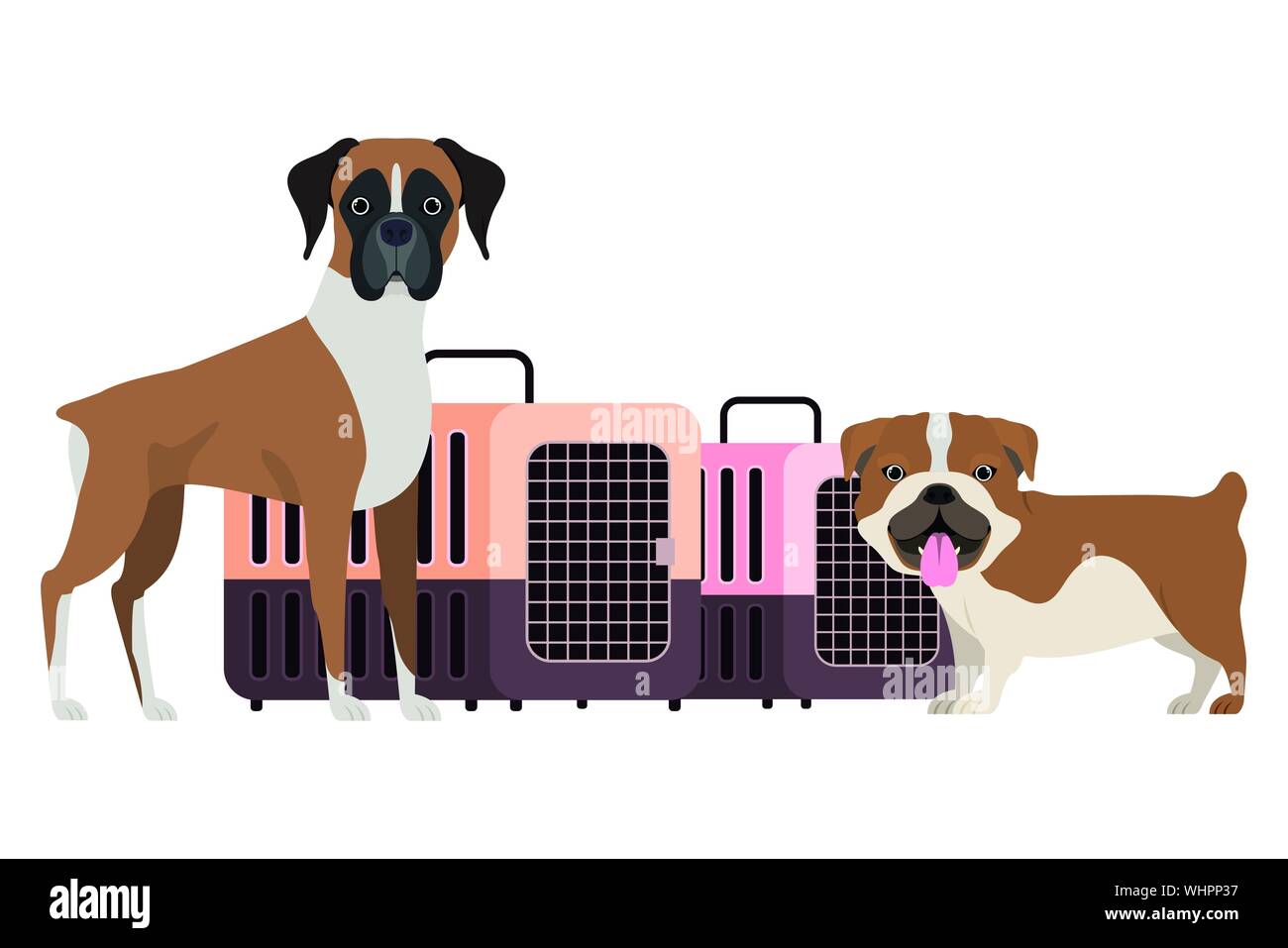 dogs and pet transport boxes on white background Stock Vector Image ...