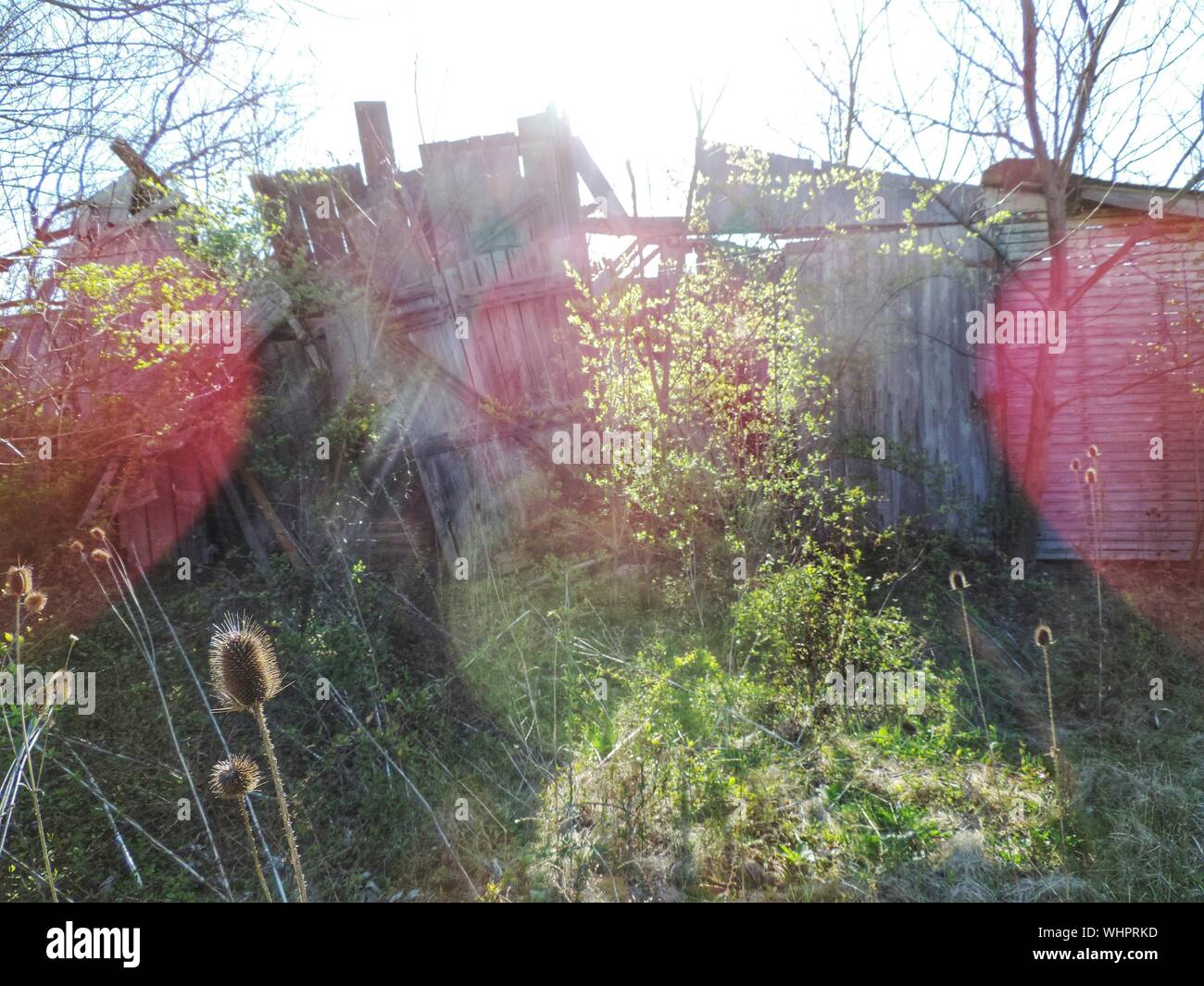 Sunny barn exterior hi-res stock photography and images - Alamy