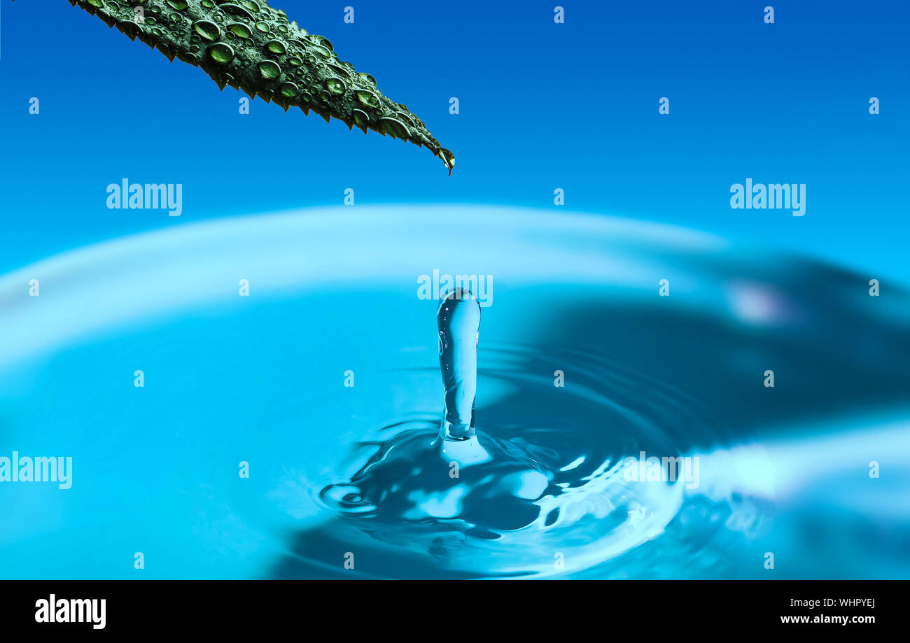 Water Drop Falling Gif