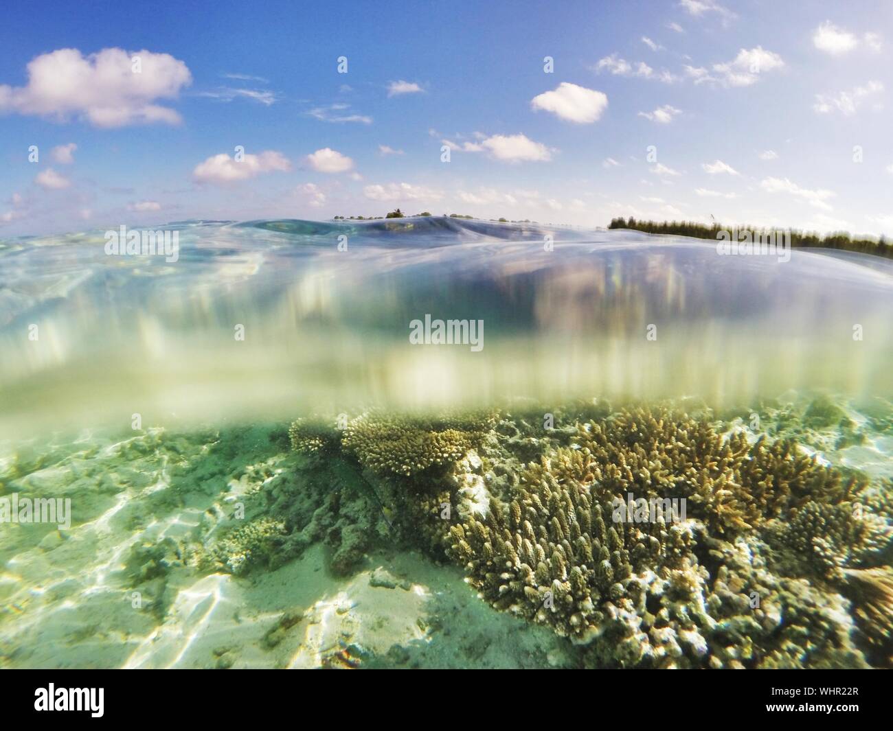 Seafloor hi-res stock photography and images - Alamy