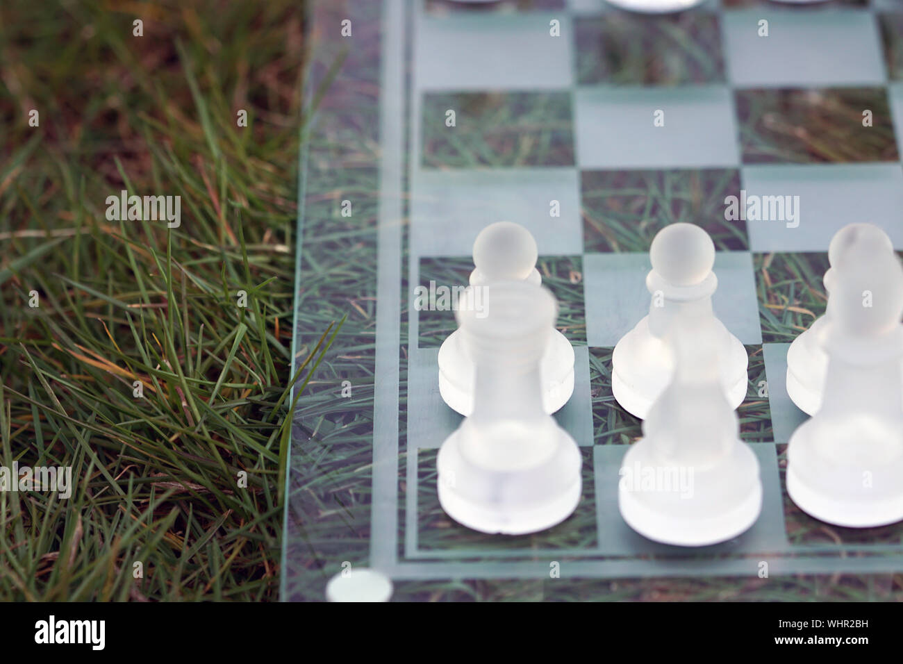 Chess grass hi-res stock photography and images - Alamy