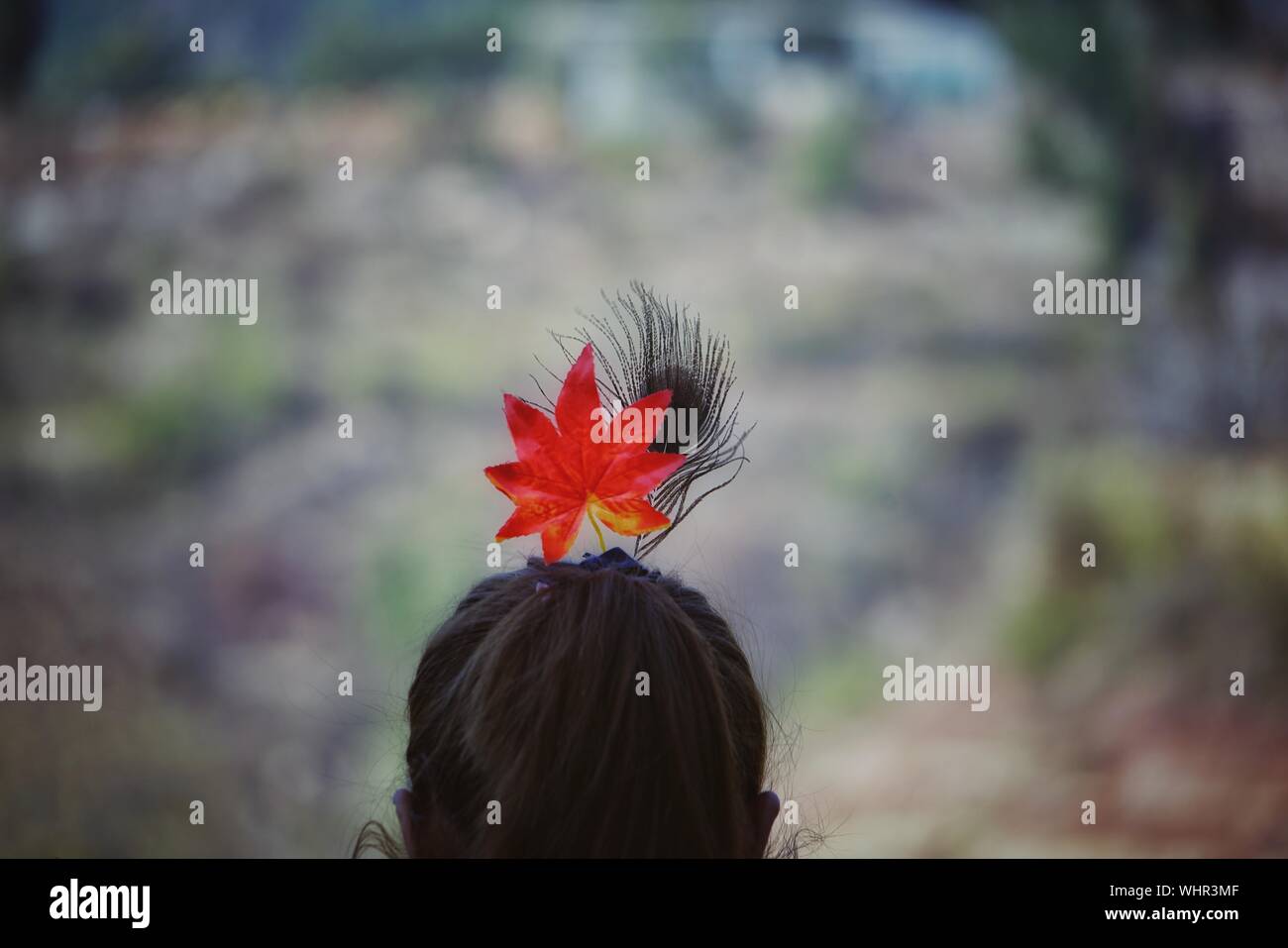 Feather vein hi-res stock photography and images - Alamy