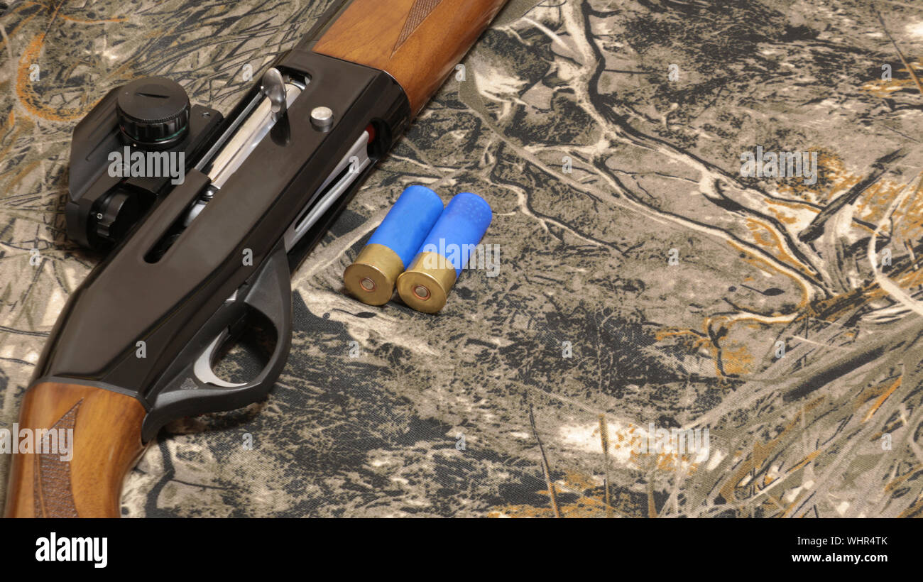 12-gauge rounds and a camo shotgun Stock Photo - Alamy