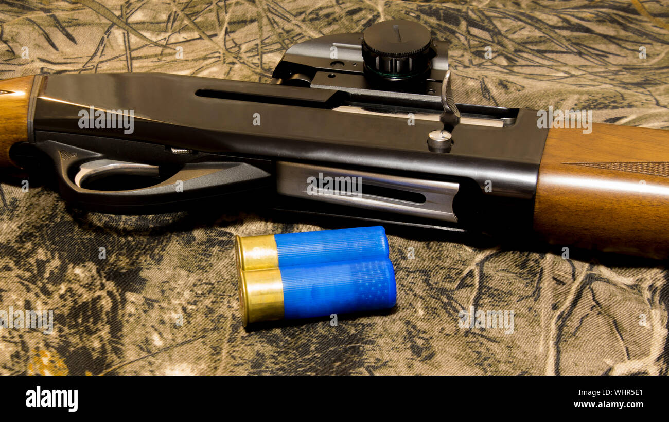 duck hunting in spring Stock Photo - Alamy