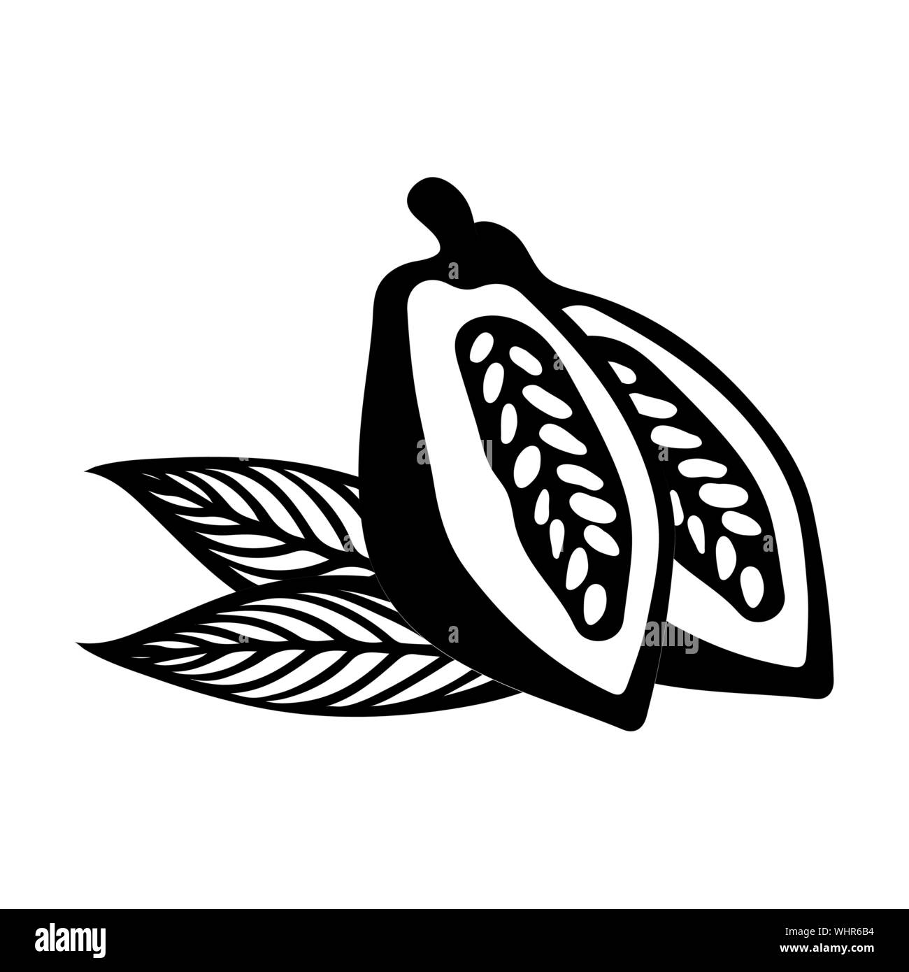 Cacao beans with leaves on white background. Flat design style. Vector ...
