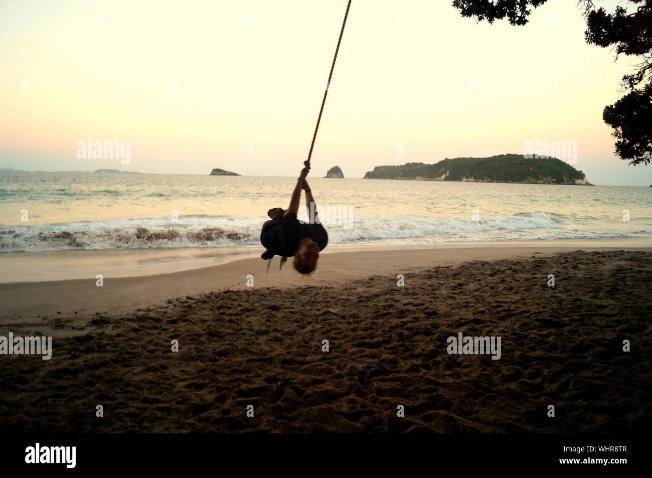 Tree Over Water Rope Swing High Resolution Stock Photography and Images ...