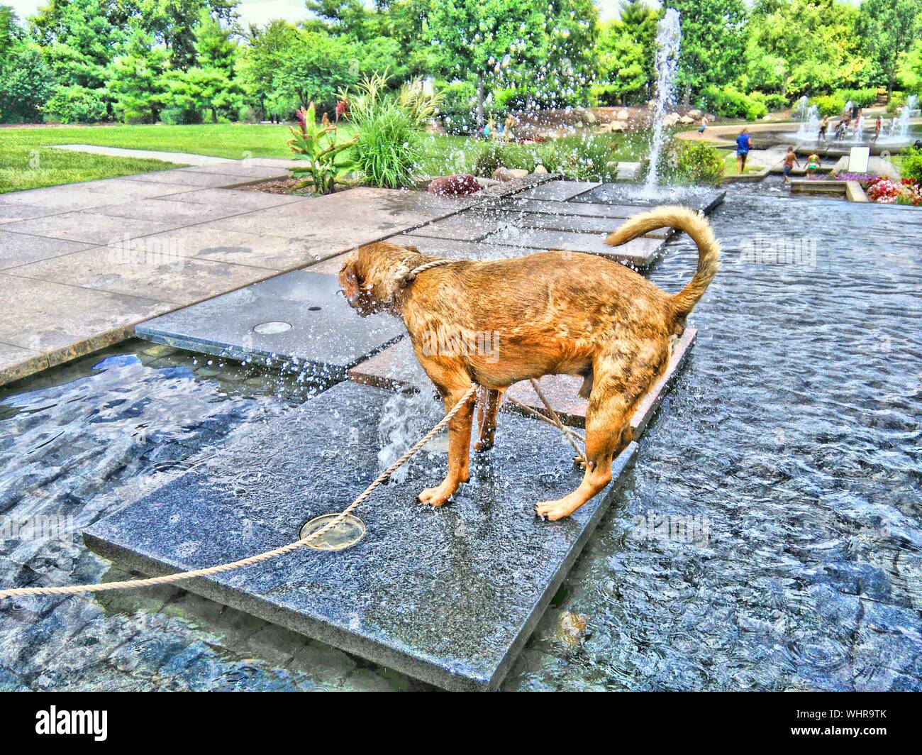 Wet drying hi-res stock photography and images - Alamy