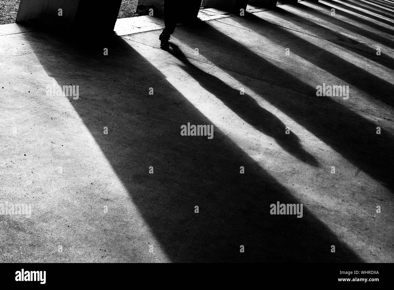 Person shadow road marking asphalt hi-res stock photography and images ...