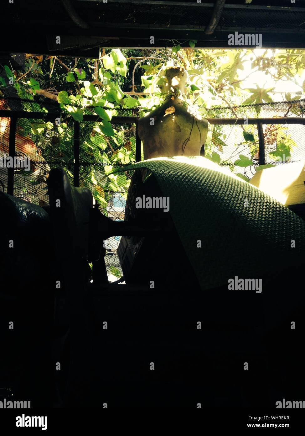 Abandoned Mannequin High Resolution Stock Photography and Images - Alamy