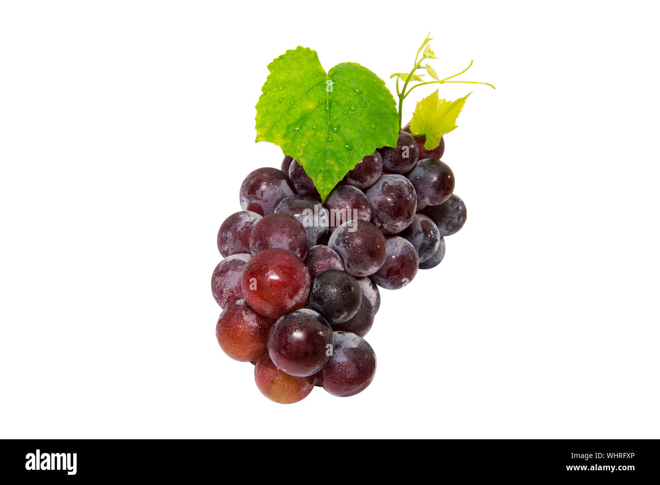 Grapes cut out cut hi-res stock photography and images - Alamy